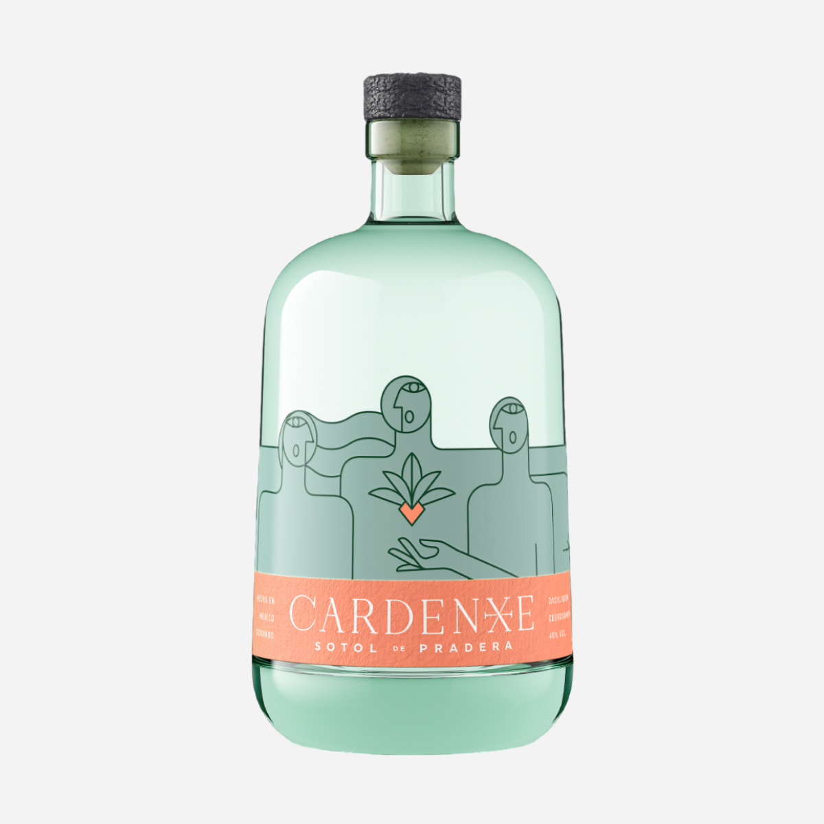 Cardenxe Sotol de Pradera – Lexir B2C
